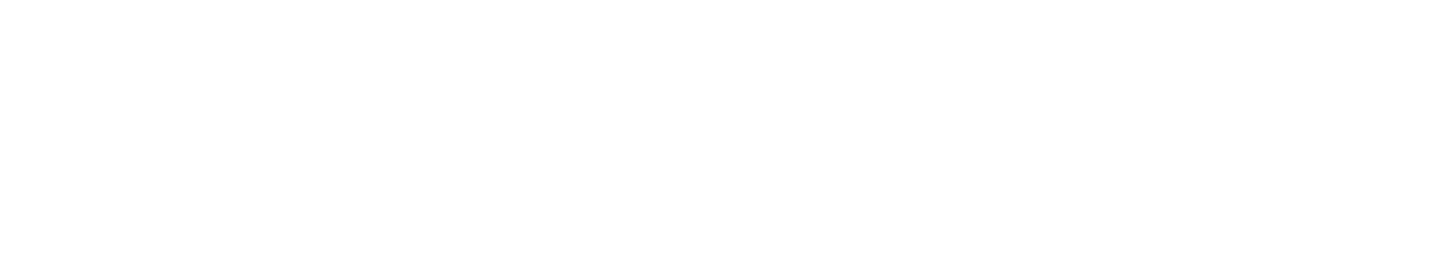 LANGUAGE CONNEXION - Language Connexion